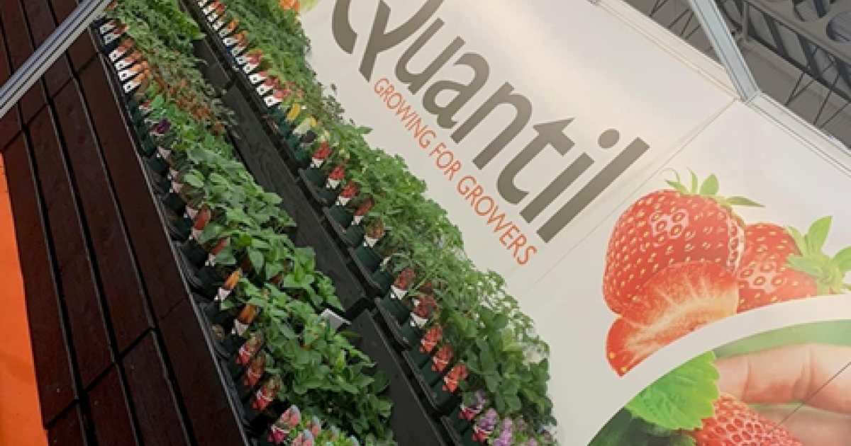 2024 HTA Show | Quantil